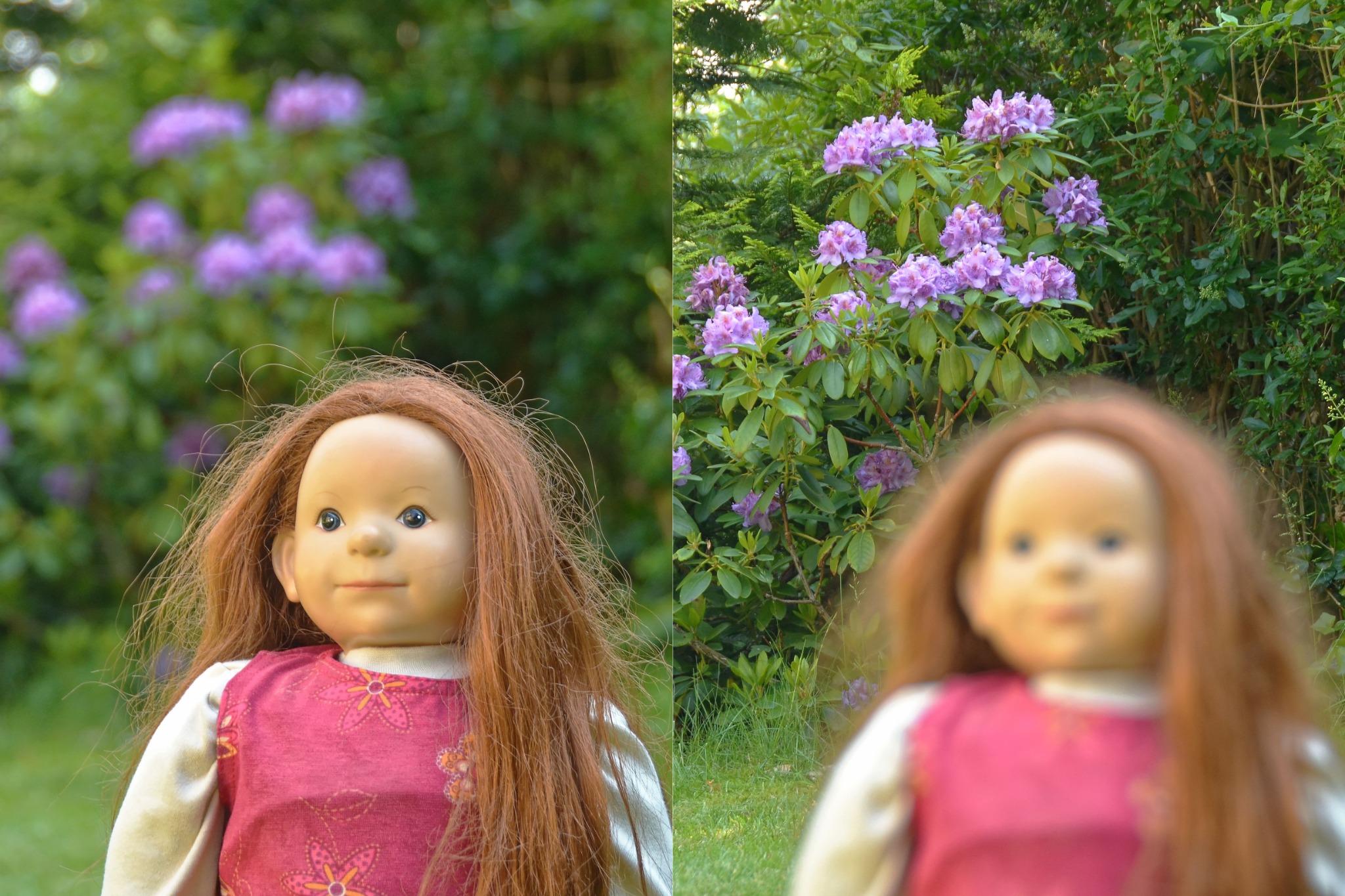 How to start controlling the autofocus